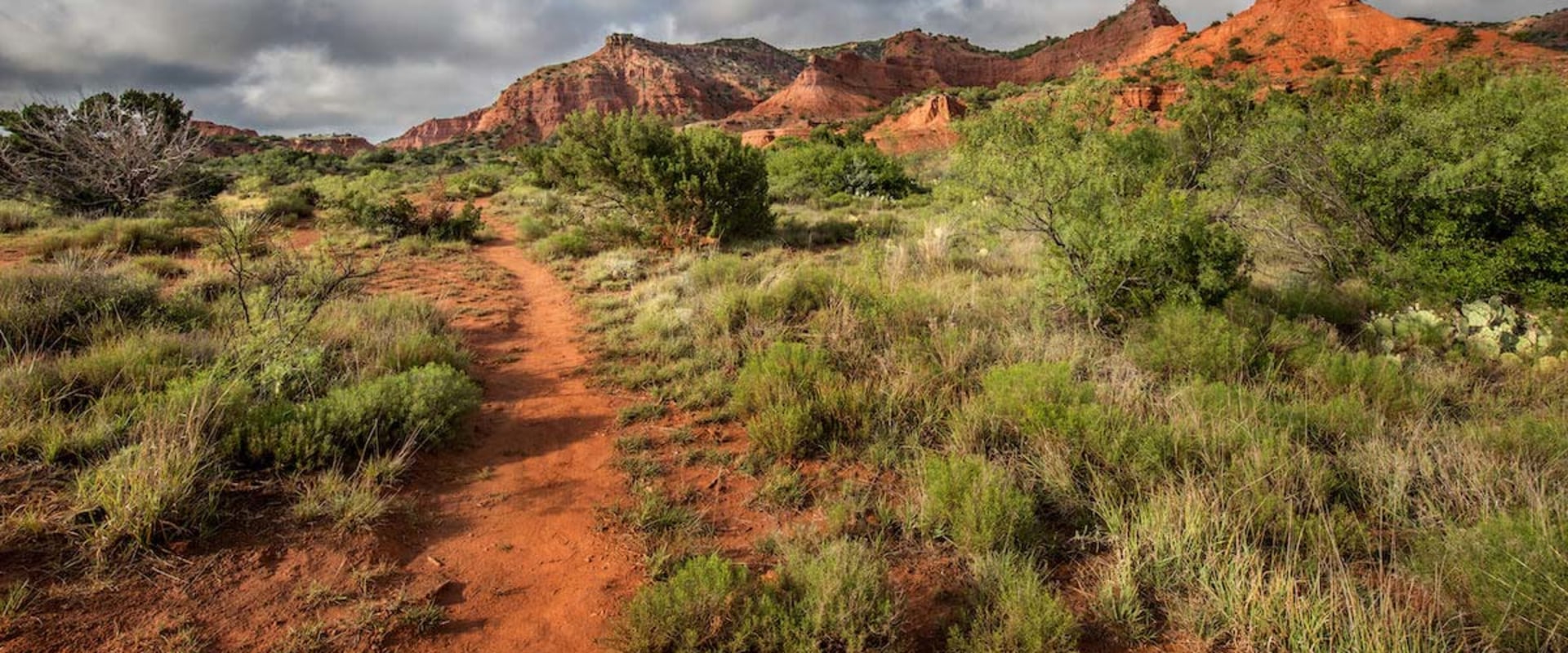Uncovering the Natural Beauty of Hays County, TX Trails