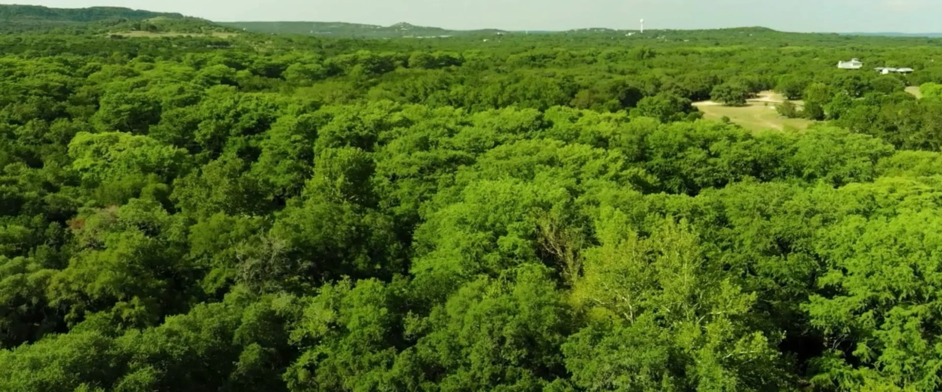 Discovering the Natural Wonders of Hays County, TX