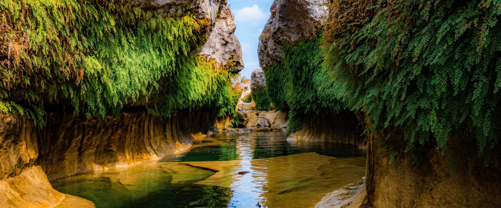 Uncovering the Natural Wonders of Hays County, TX